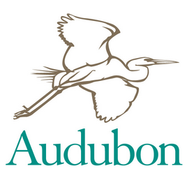 A Sea of Glass – DREW HARVELL