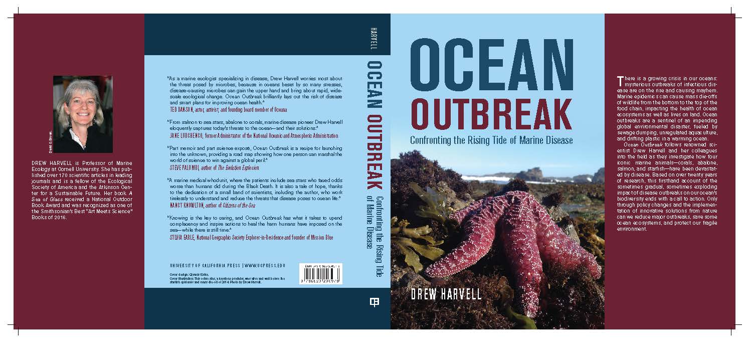 Ocean Outbreak – DREW HARVELL