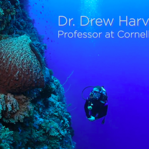 DREW HARVELL – How can we bolster ocean health and biodiversity in the ...