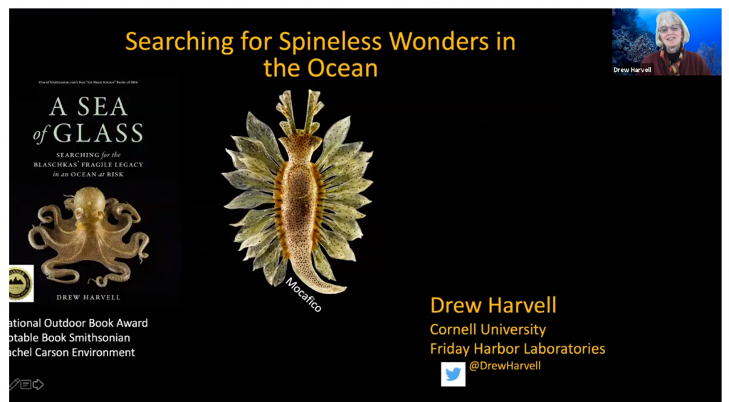 Cornell CAU Lecture on Ocean Biodiversity – DREW HARVELL