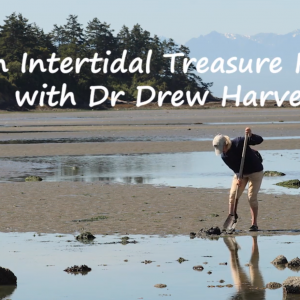 DREW HARVELL – How can we bolster ocean health and biodiversity in the ...