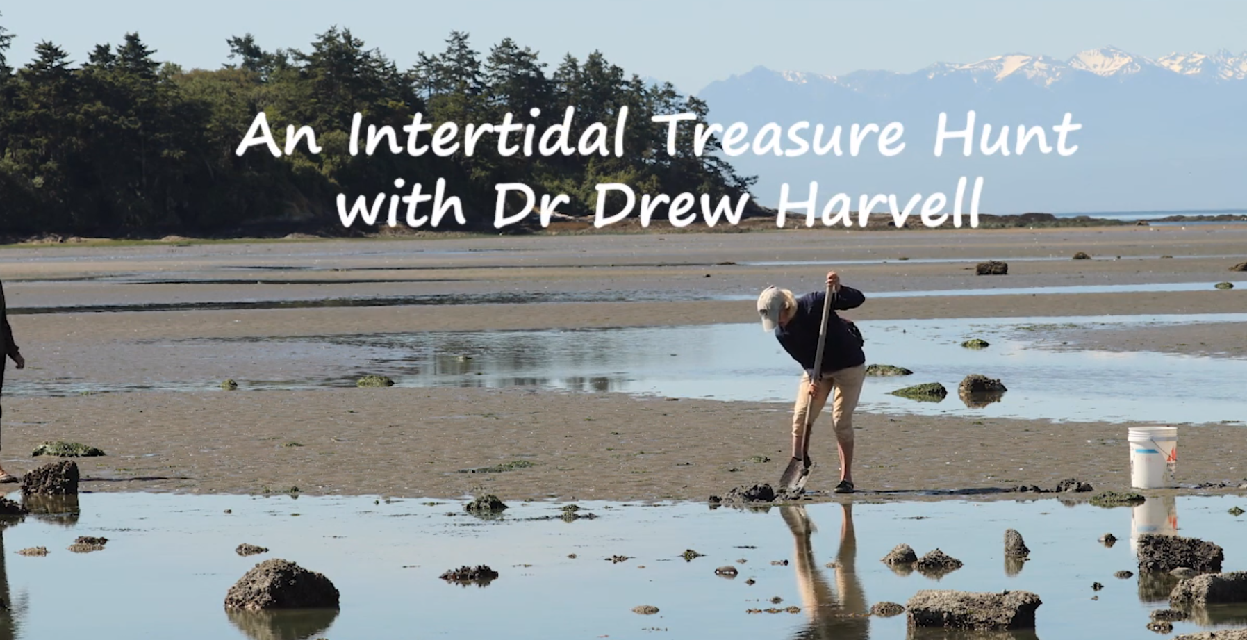An Intertidal Treasure Hunt with Dr. Drew Harvell – DREW HARVELL